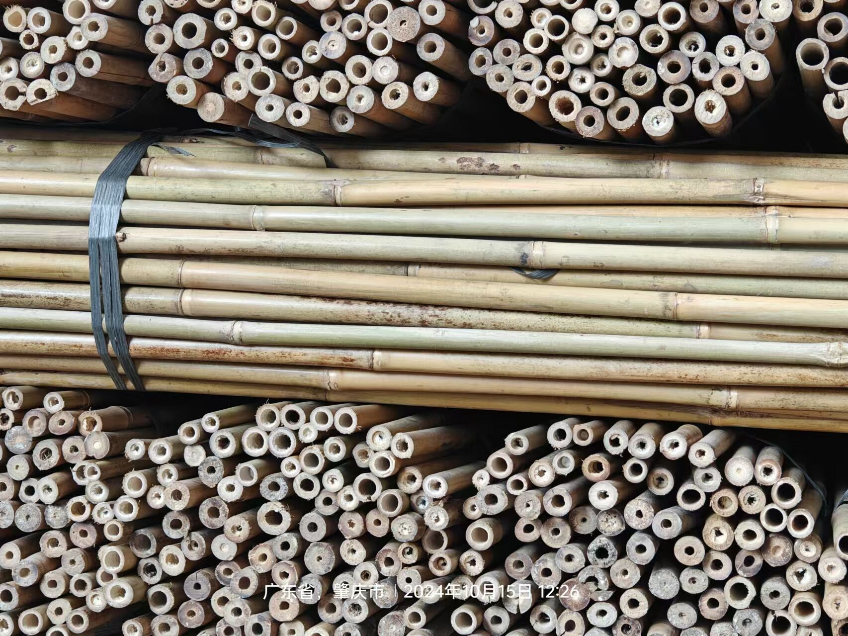 Bamboo Stakes 60x0608 For Plants, Natural Bamboo Plants Stakes, Garden ...