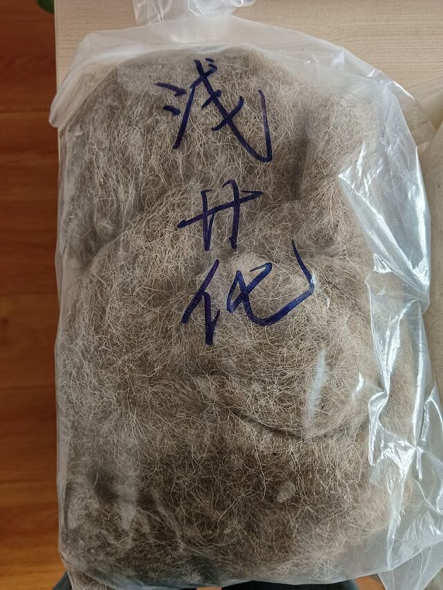 Free Sample Carded Sheep Wool Natural Wool Fiber 100% Sheep Wool Waste ...