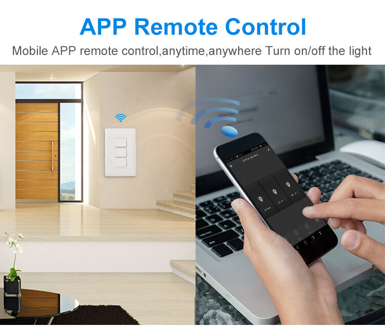 Ci-tech Oem Us Au Br Tuya Alexa Wifi Smart Light Switch Work With Push ...