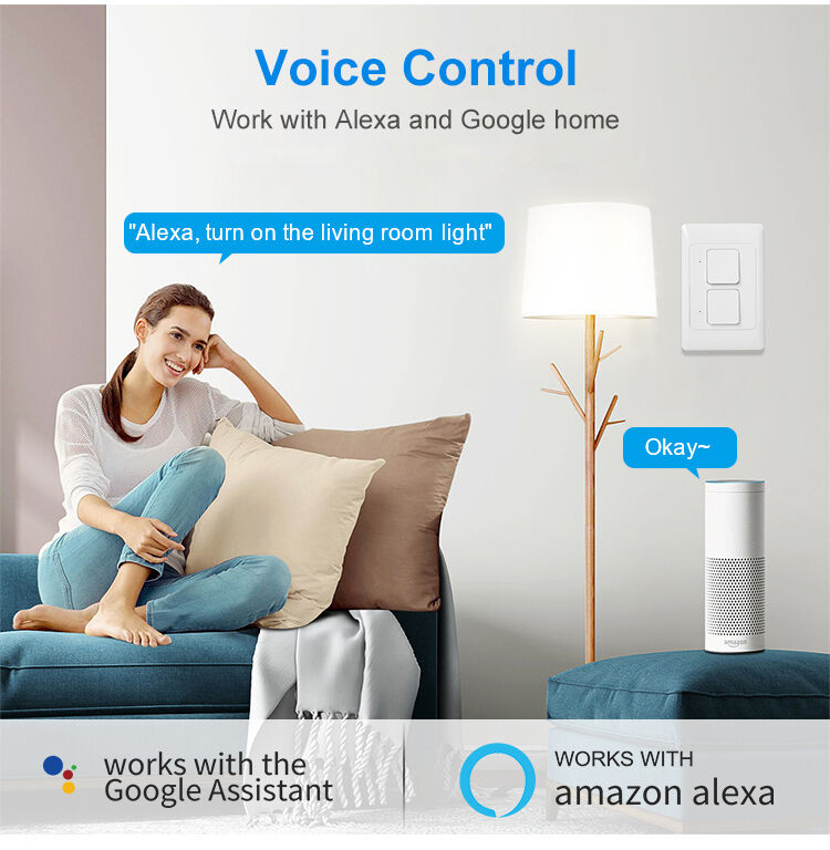 Ci-tech Oem Us Au Br Tuya Alexa Wifi Smart Light Switch Work With Push ...