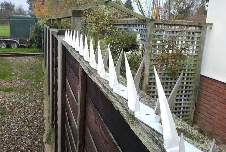 High Security Anti-climb Large Size Razor Spikes Decorative Steel Wire ...
