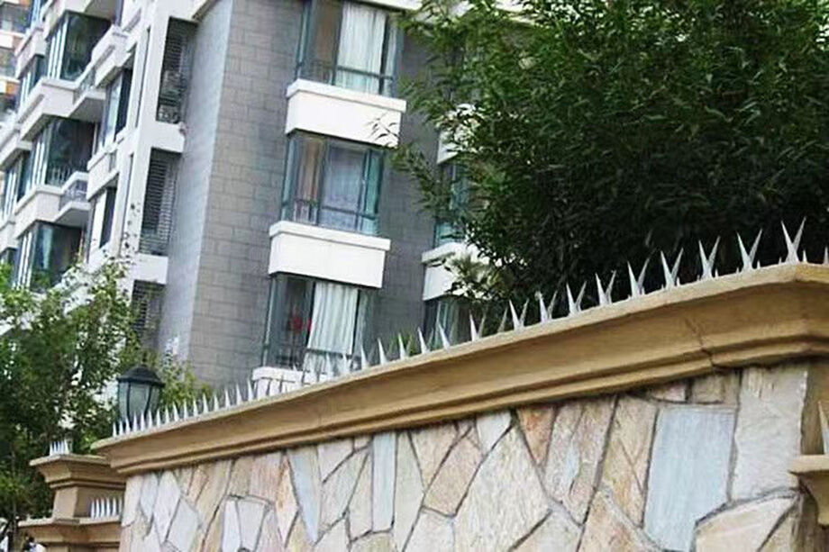 High Security Anti-climb Large Size Razor Spikes Decorative Steel Wire ...
