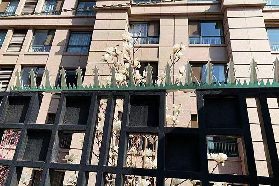 High Security Anti-climb Large Size Razor Spikes Decorative Steel Wire ...