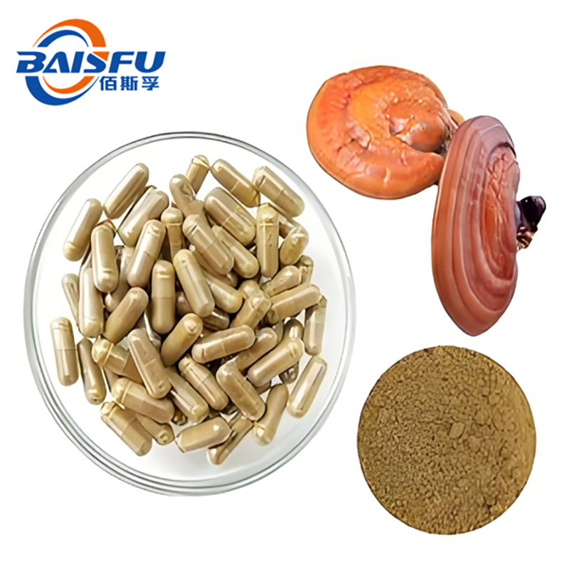 Factory Direct High Quality China Wholesale Manufacturers Recommend ...