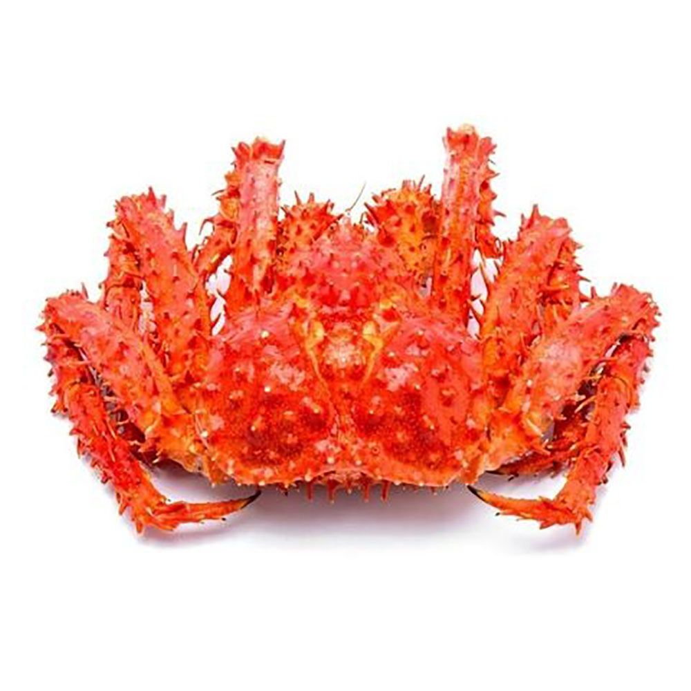 Top Selling Bulk Seafood Fresh Frozen Red Crab Fresh Frozen King Crab ...