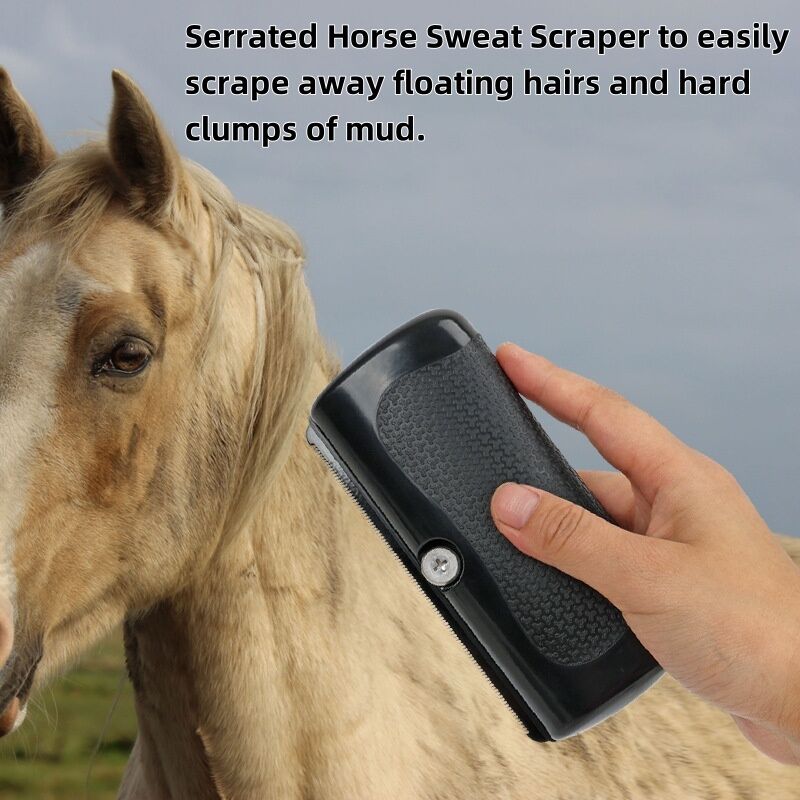 Cheap Horse Grooming Supplies Horsehair Brush Cleaning Hair And Soil ...