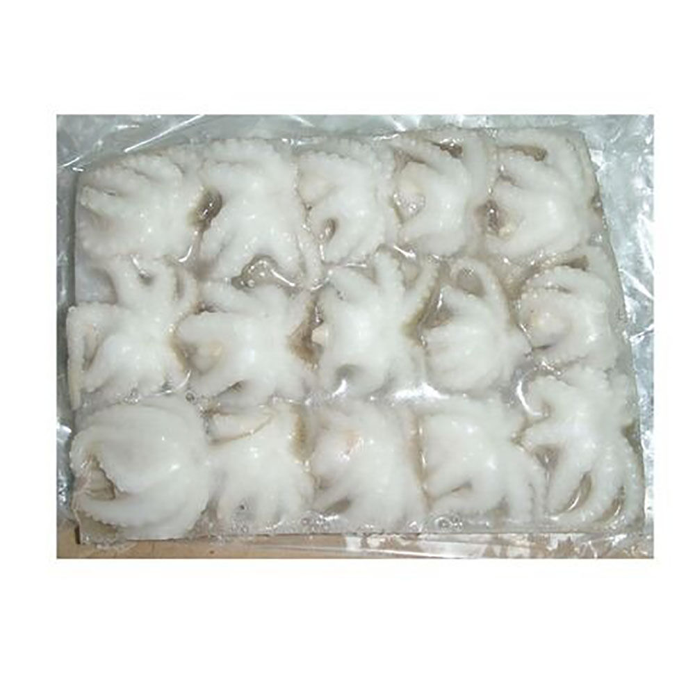 Best Bay Fresh And Frozen Seafood Octopus Octopus Frozen Octopus For ...
