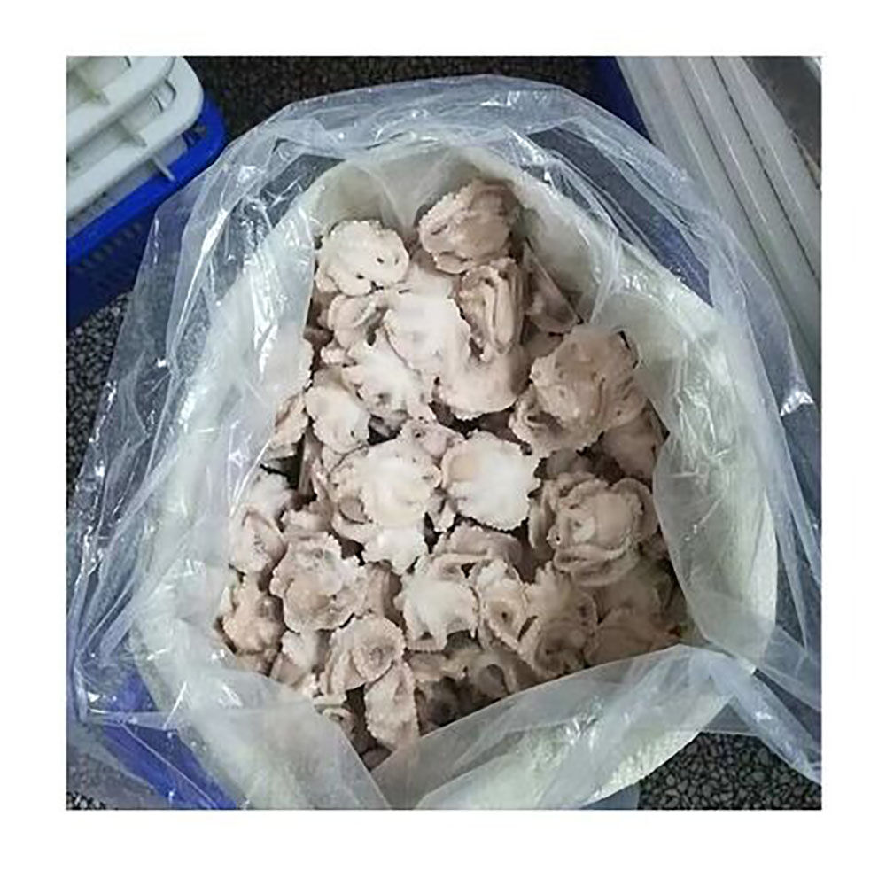 Best Bay Fresh And Frozen Seafood Octopus Octopus Frozen Octopus For ...
