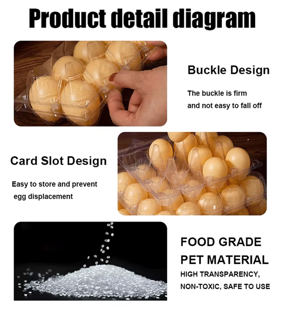 Wholesale Custom Plastic Quail Egg Tray For 30 Holes Disposable Quail ...