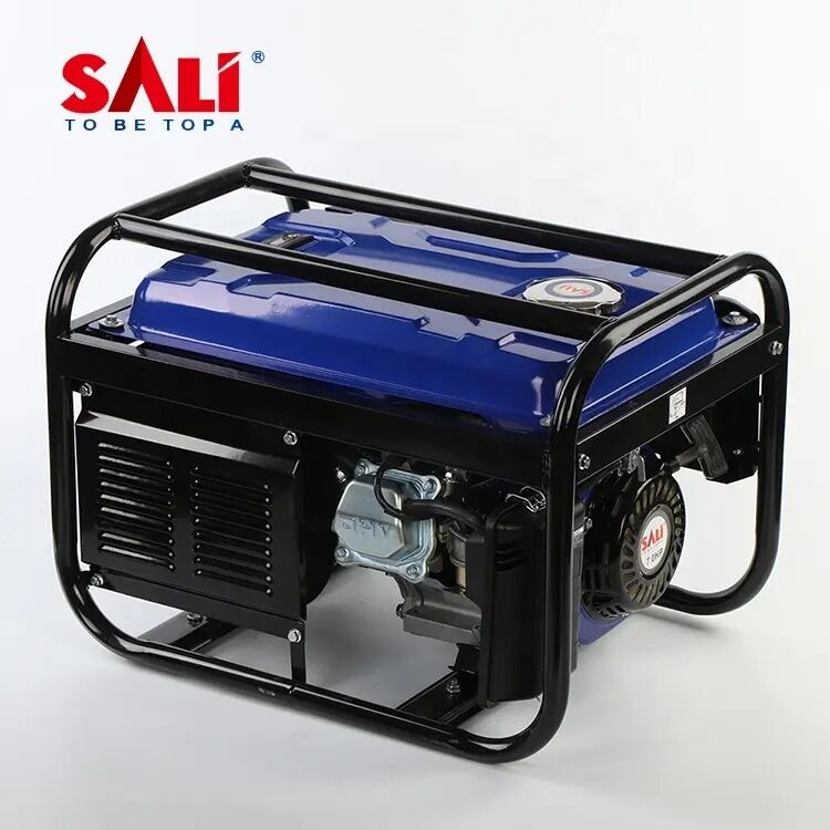 Portable Gasoline Generator For Outdoor Power, Emergency Backup, And ...