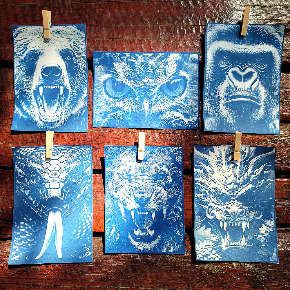 A4/a5/a6 Size Cyanotype Papers (sun Printing Papers): Available For ...