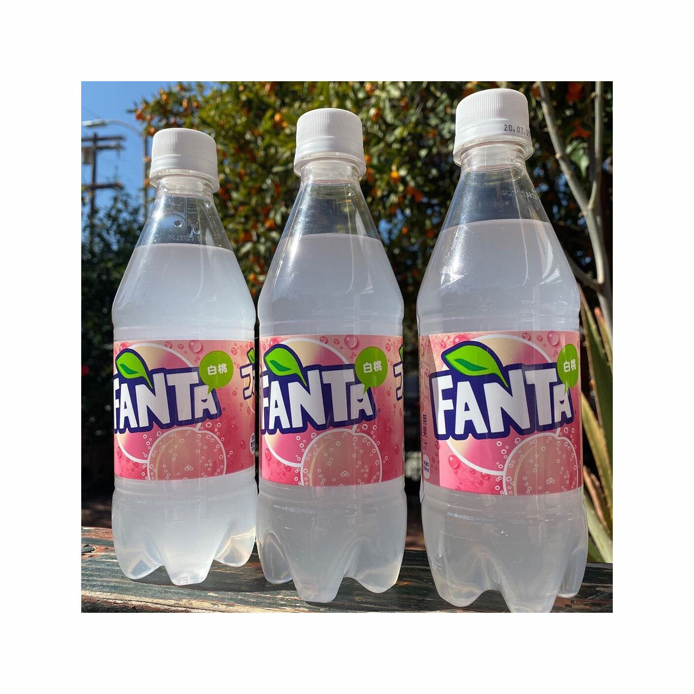 Japan Fanta White Peach Exotic 330ml / Fanta Soft Drink / Fanta Soda ...