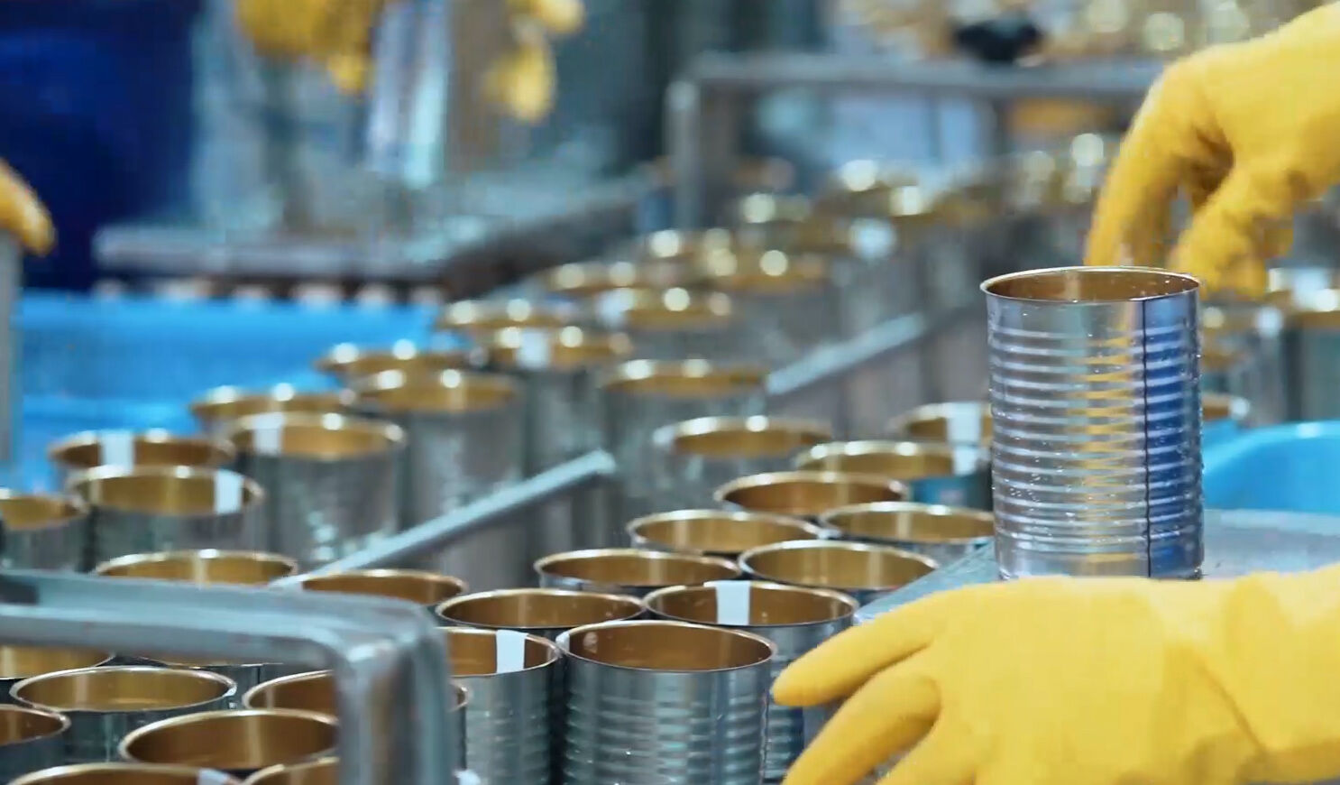 Freeze-dried Mulberry Powder - 100% Pure Powdered Freeze-dry Mulberry ...