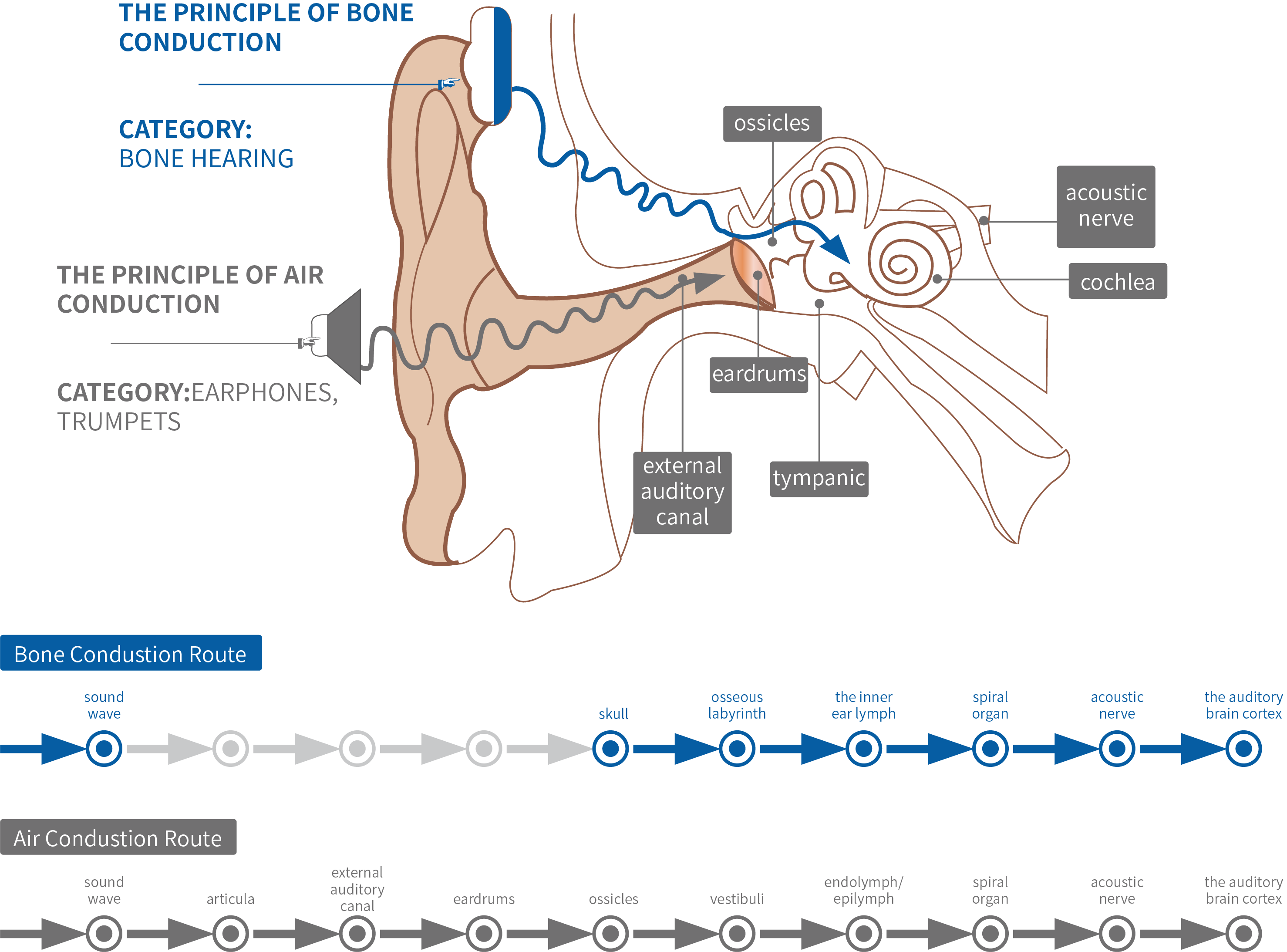 Buy China Wholesale A12 Low Moq With One-stop Service Of Bone ...