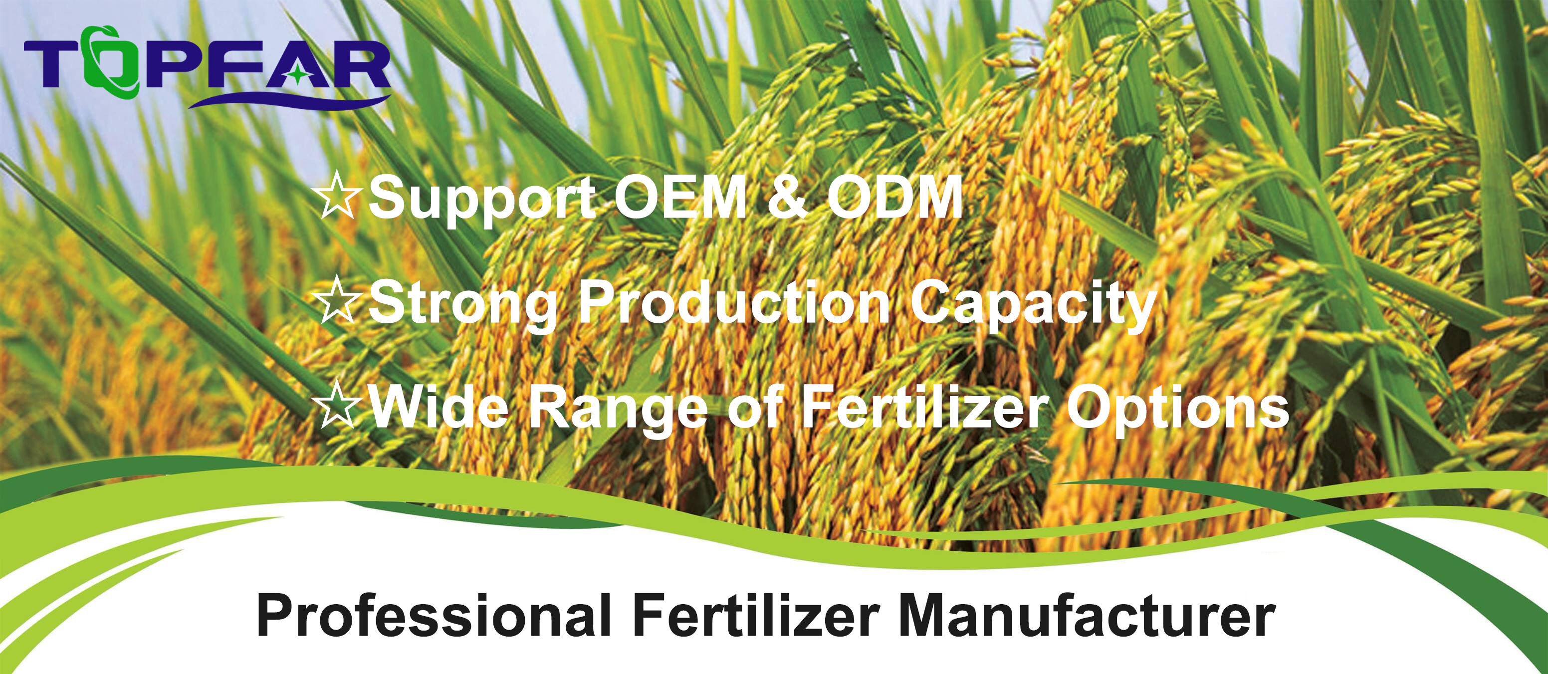 Agricultural Controlled Release Npk 15 15 15 Granular Compound ...