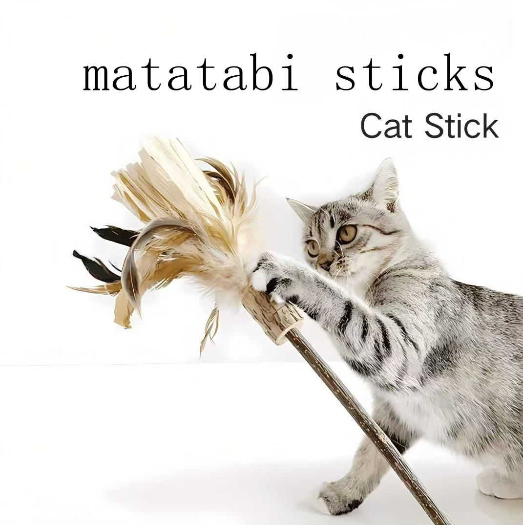 High Quality Matatabi Silvervine Sticks For Cats Interactive Feather ...