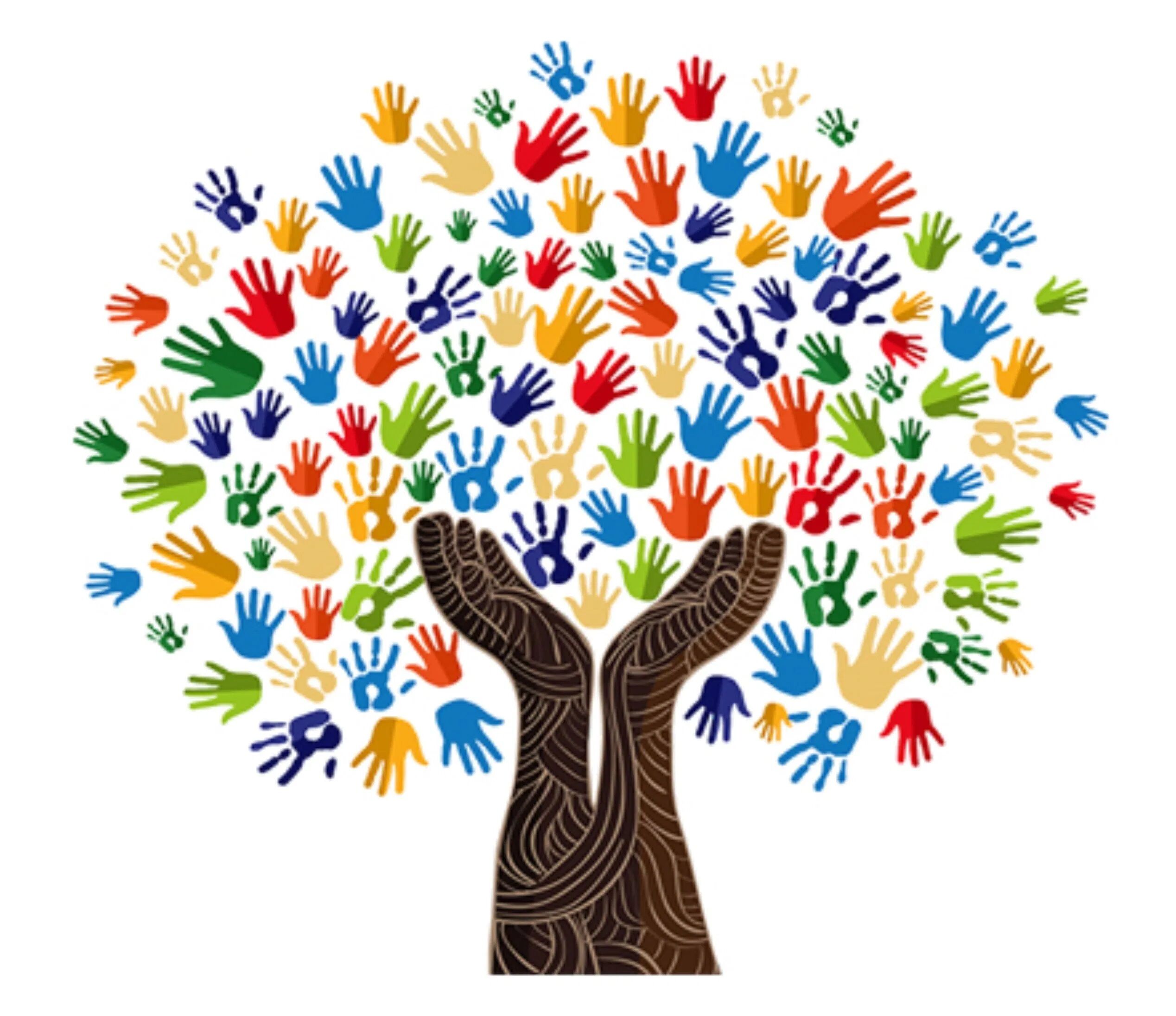 Graphite Sagger For Lfp Lithium Ion Phosphate Powder Sintering - Buy ...