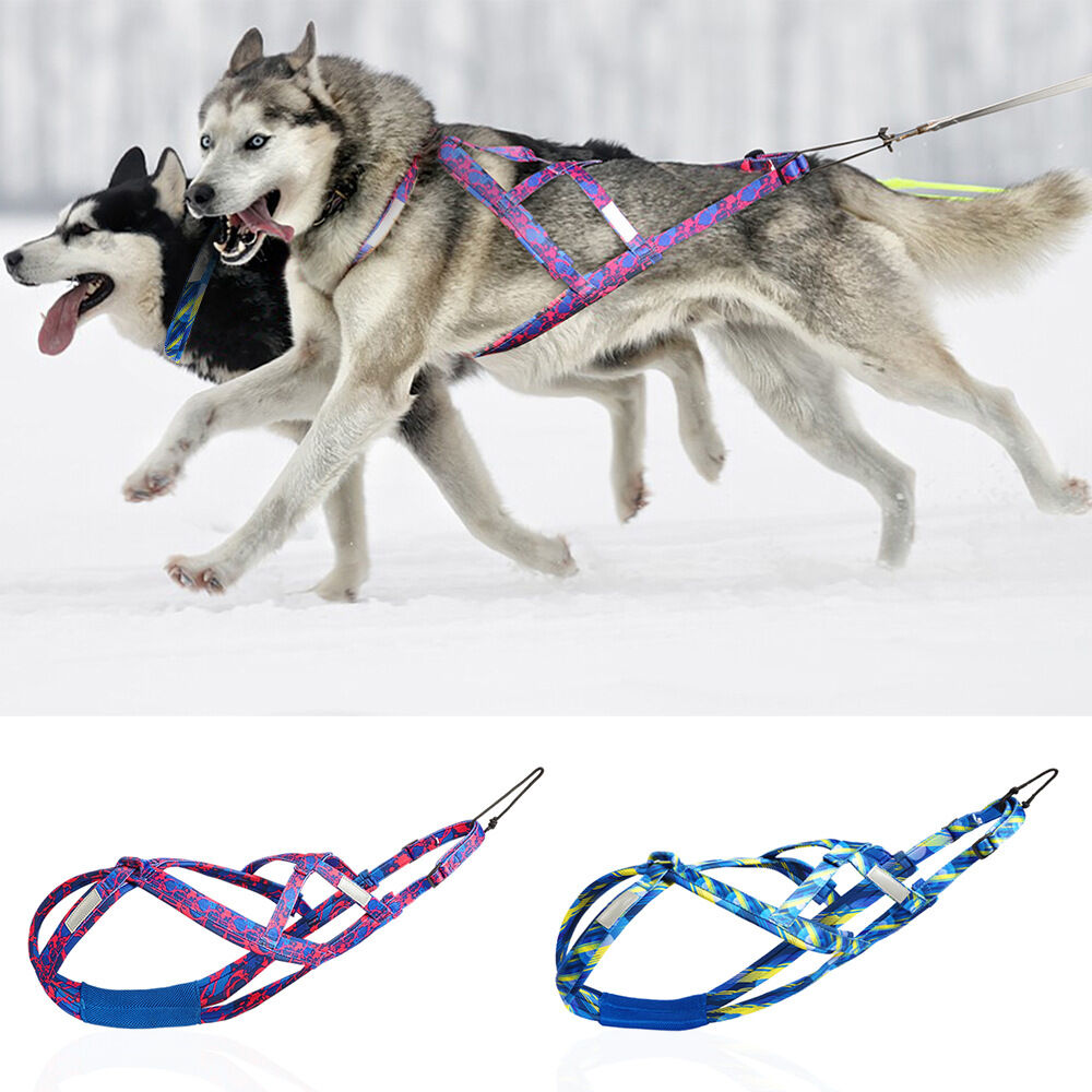 Bulk Buy China Wholesale Soft And Comfortable Sled Dog Harness Husky ...