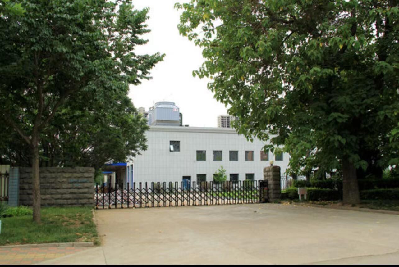 Custom Shoes Women's Lace Up Sneakers Fashion Casual Shoes Custom Men's ...