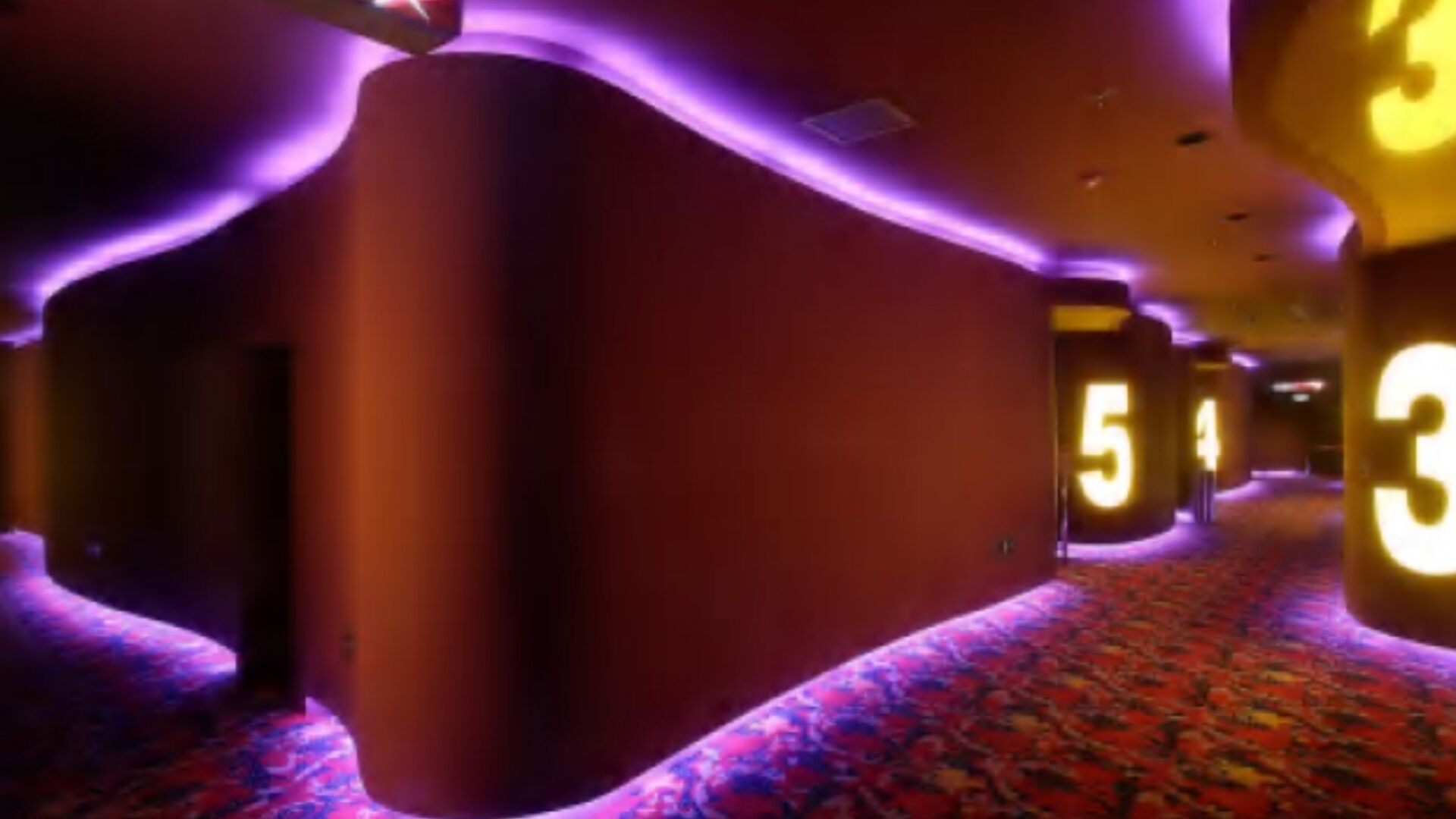 360 Degree Emitting 240 Leds 13/15/16/18/20/22/25/40mm Neon Strip ...