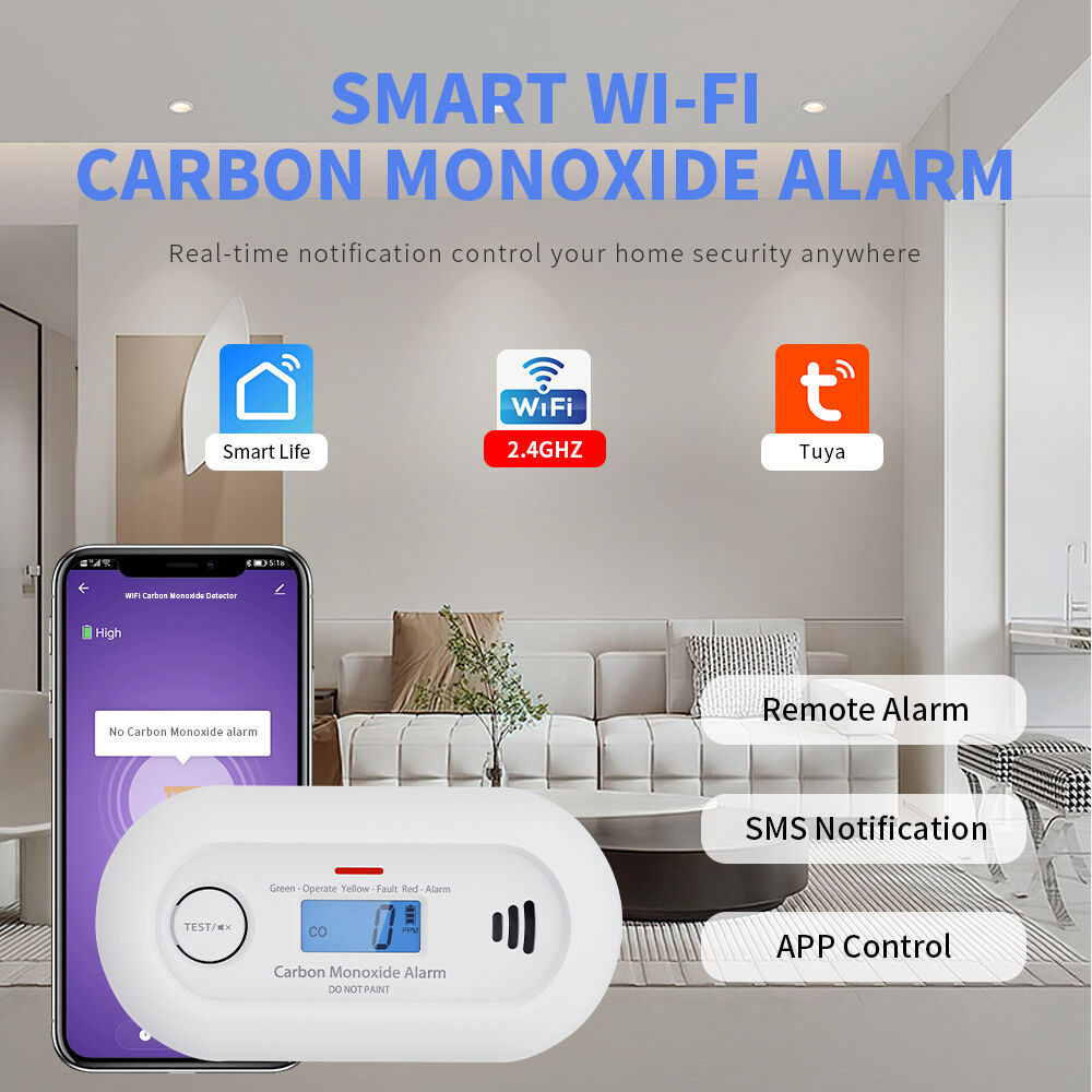 Carbon Monoxide Sensor Detector, Reliable Wifi Co Gas Sensor Tuya App ...