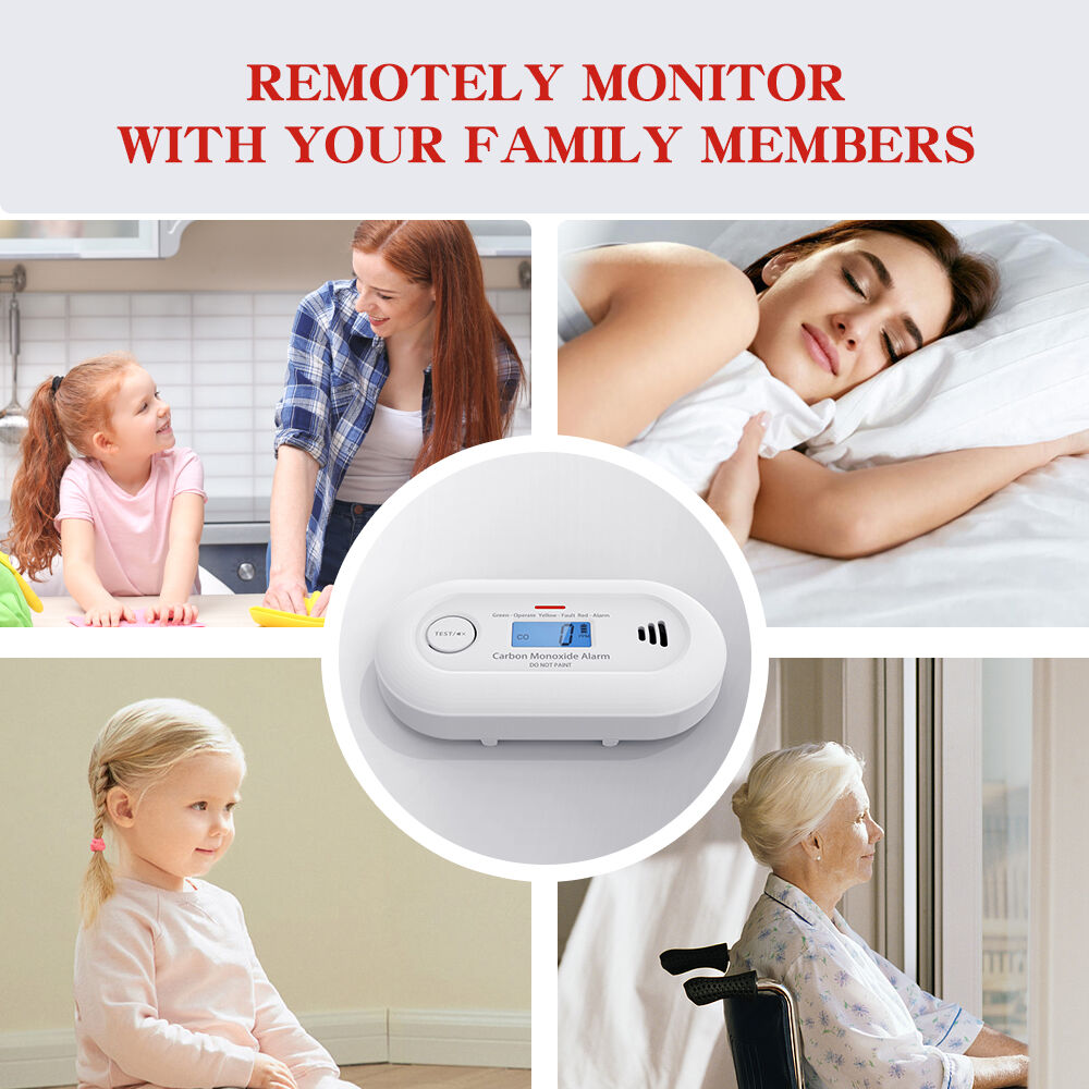 Carbon Monoxide Sensor Detector, Reliable Wifi Co Gas Sensor Tuya App ...