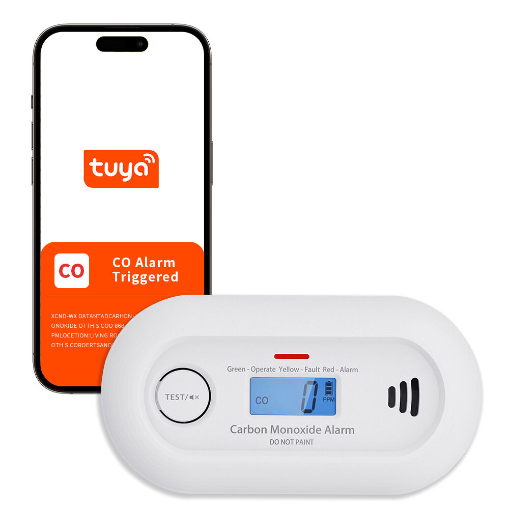 Carbon Monoxide Sensor Detector, Reliable Wifi Co Gas Sensor Tuya App ...