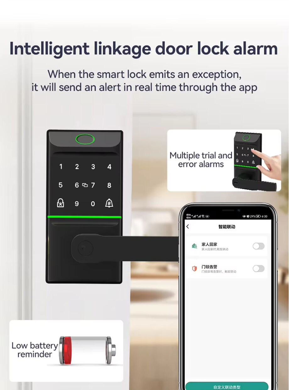 Home Indoor Tuya Ttlock Security Digital Lock Wifi Smart Lock With ...