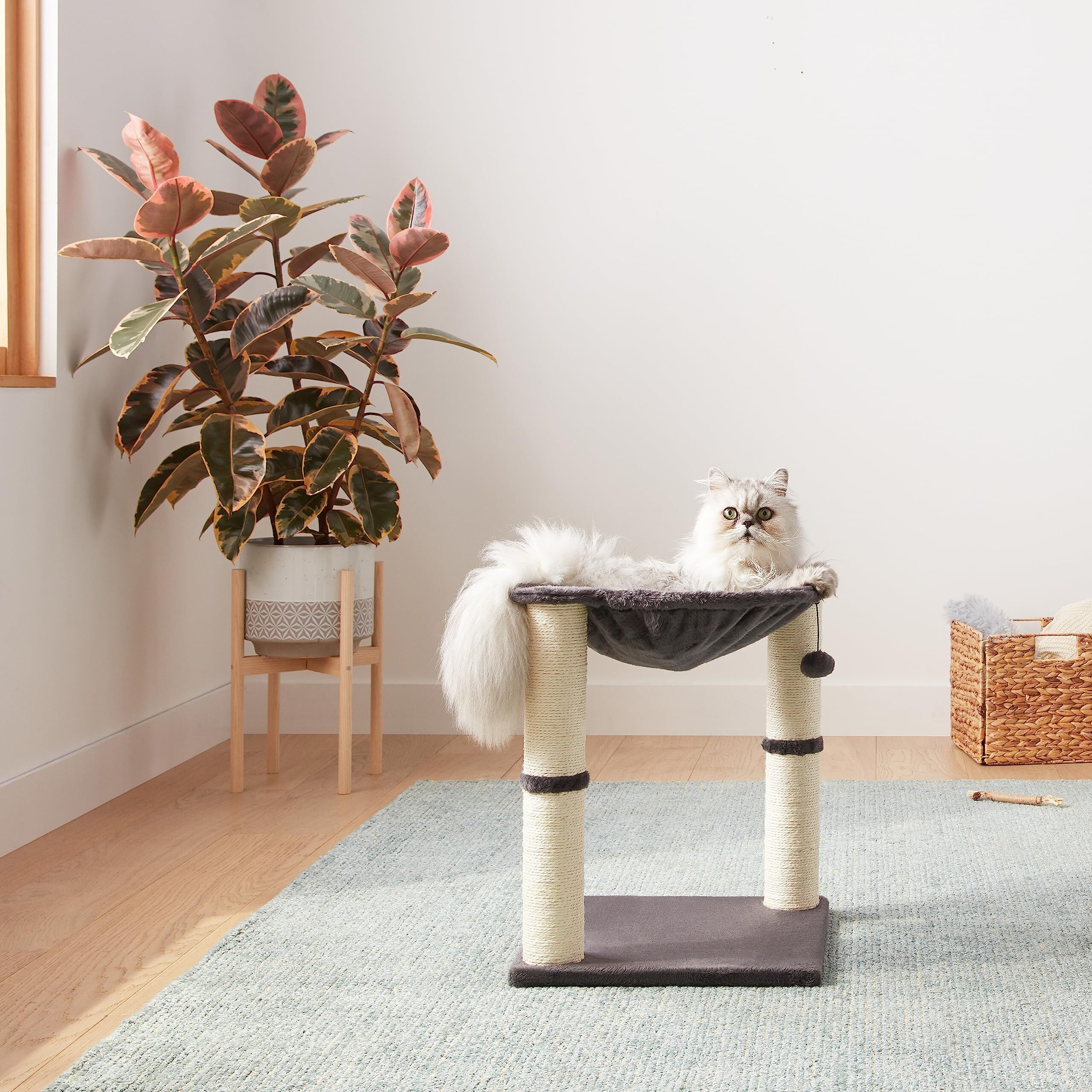 Amazon Basics Cat Tower With Hammock, Scratching Posts And Dangling ...