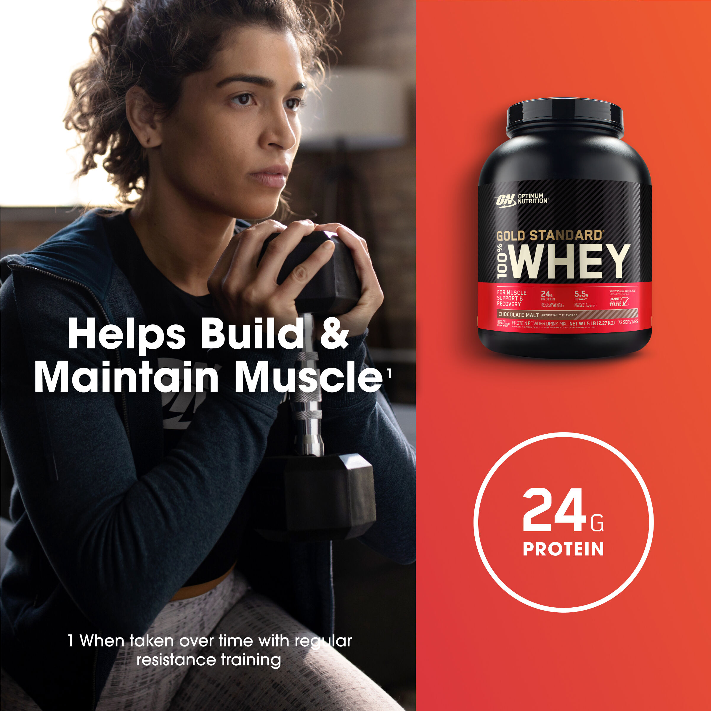 Optimum Nutrition Gold Standard 100% Whey Protein Powder, Double Rich ...