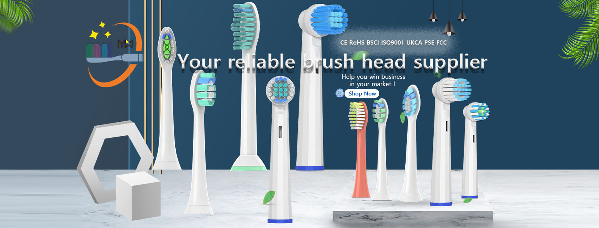 Eco Nylon Bristle Sonic Electric Toothbrush Heads With Travel Case For ...