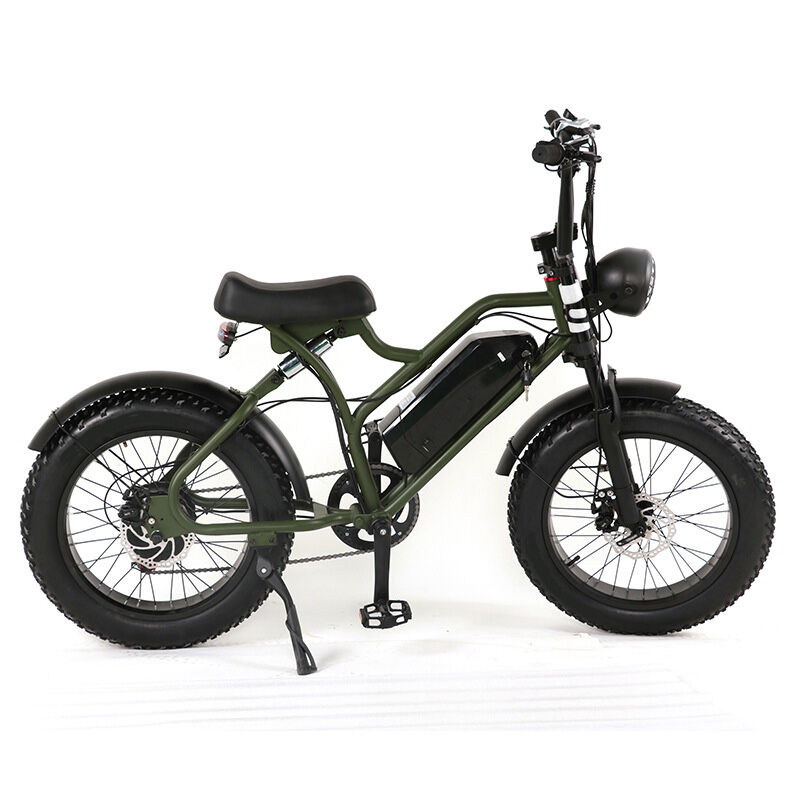 2024 Factory Price Man 5-speet Pas Electric Bike Adults 48v Shock ...