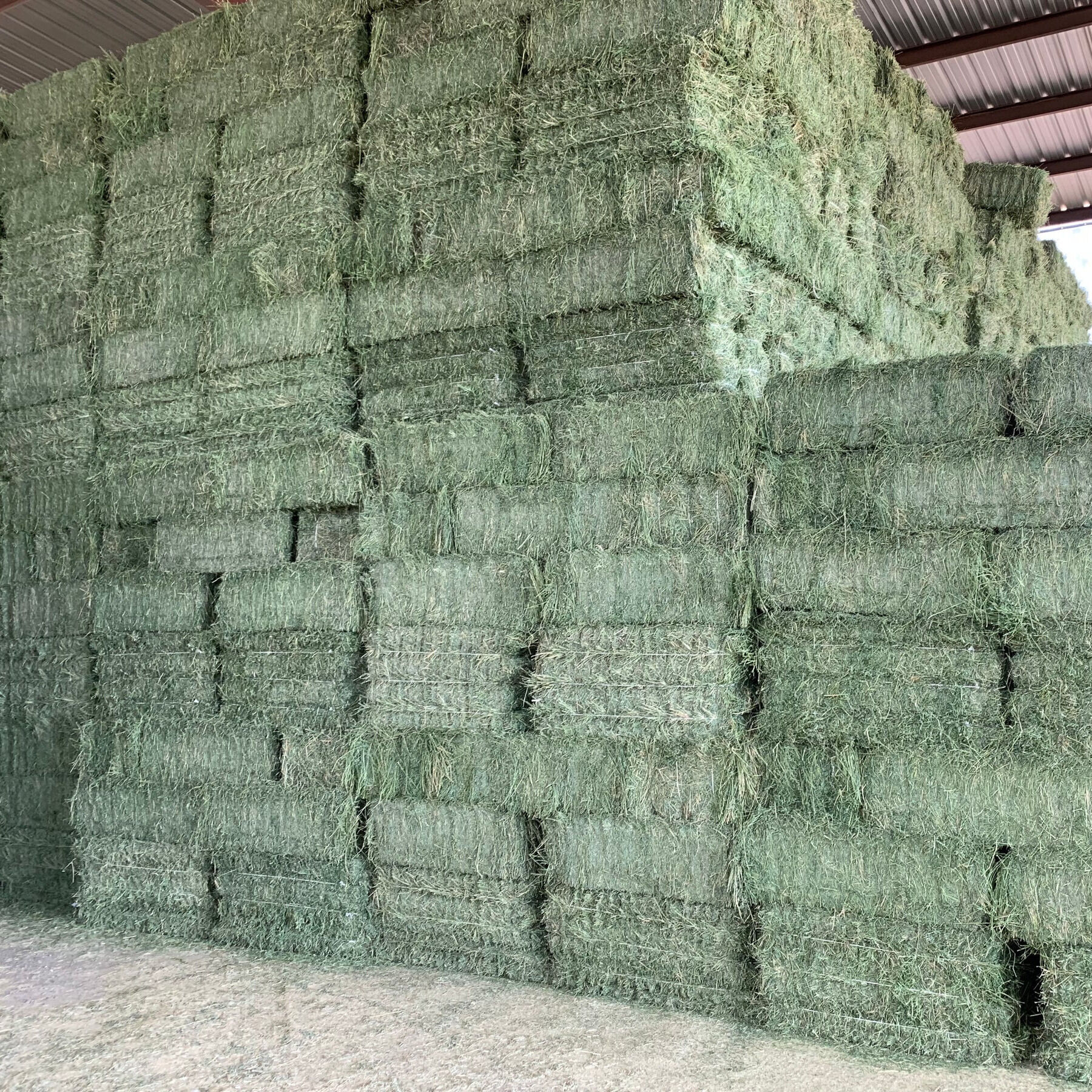 Quality Alfalfa Hay Bays / Alfalfa Pellets / Dehydrated Alfalfa Cubes ...