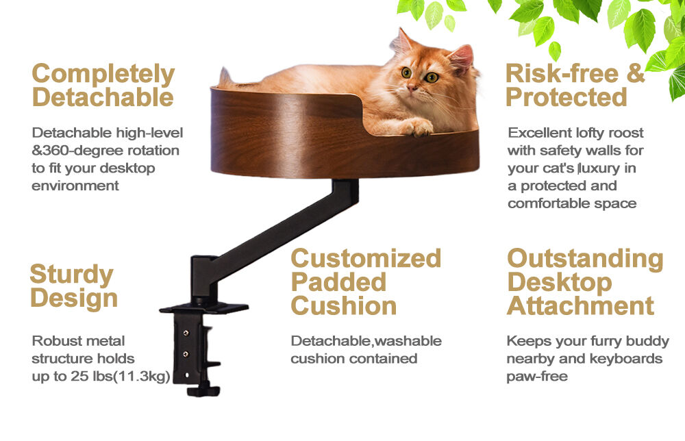 Bulk Buy China Wholesale Cat Desk Bed For Indoor Cats With Adjustable ...