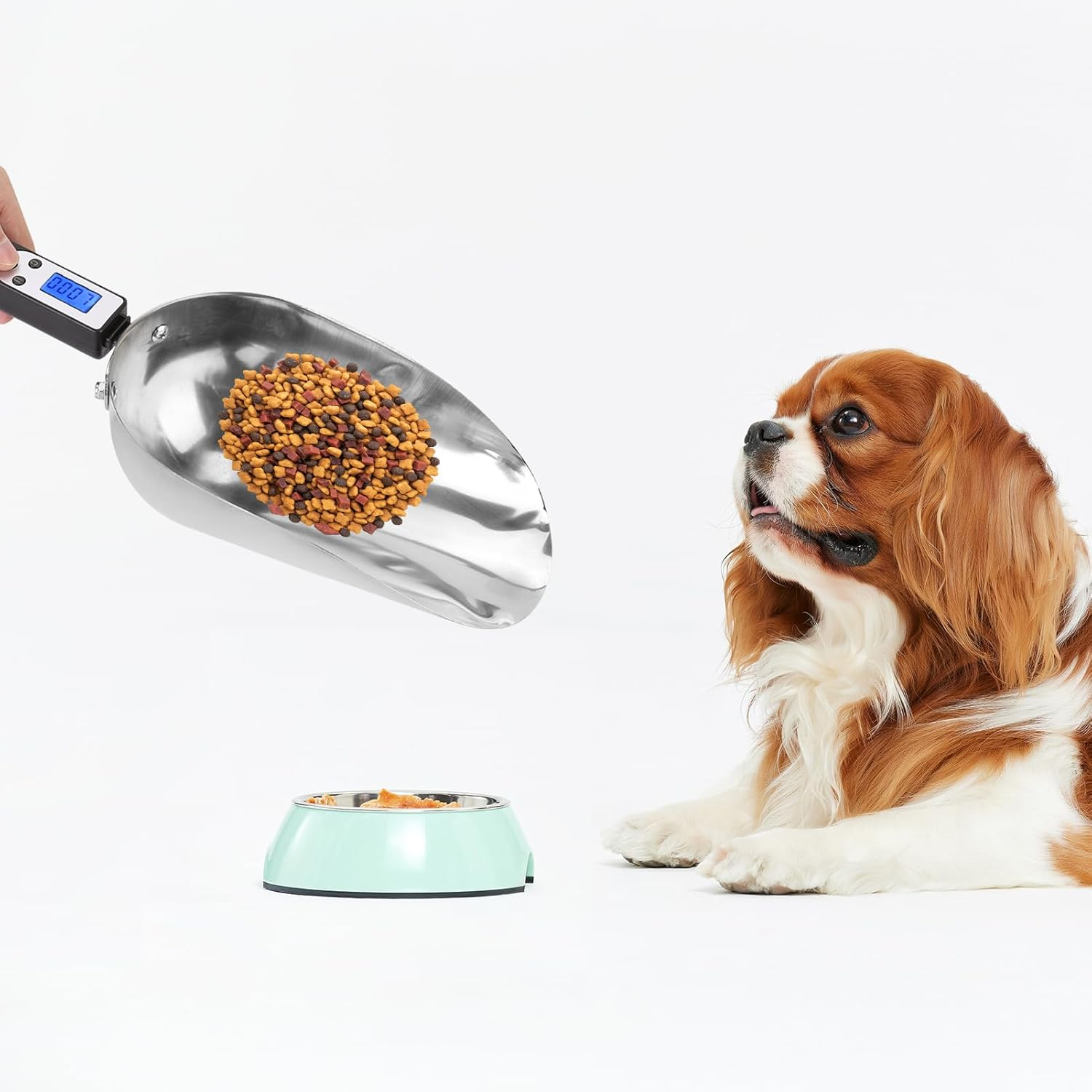 Stainless Steel Spoon Scale Electronic Kitchen Food Scale Digital Spoon ...