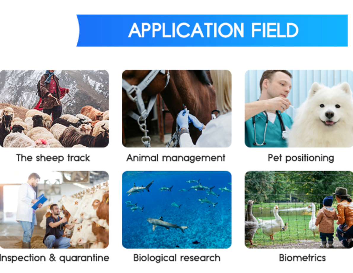 Animal Lf Electronic Temperature Sensing Tags Used For Body Temperature ...