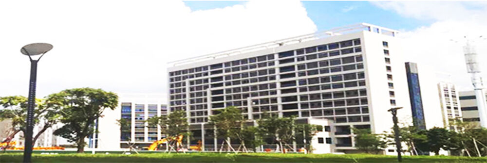 Custom Cardboard Book Printing Service Board Book Custom Offset ...