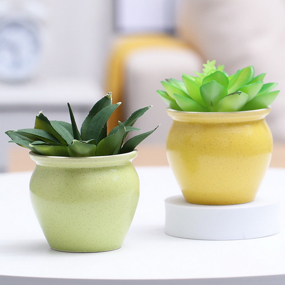 Exquisite Indoor Home Decoration Pot Creative Ornaments Multi-color ...