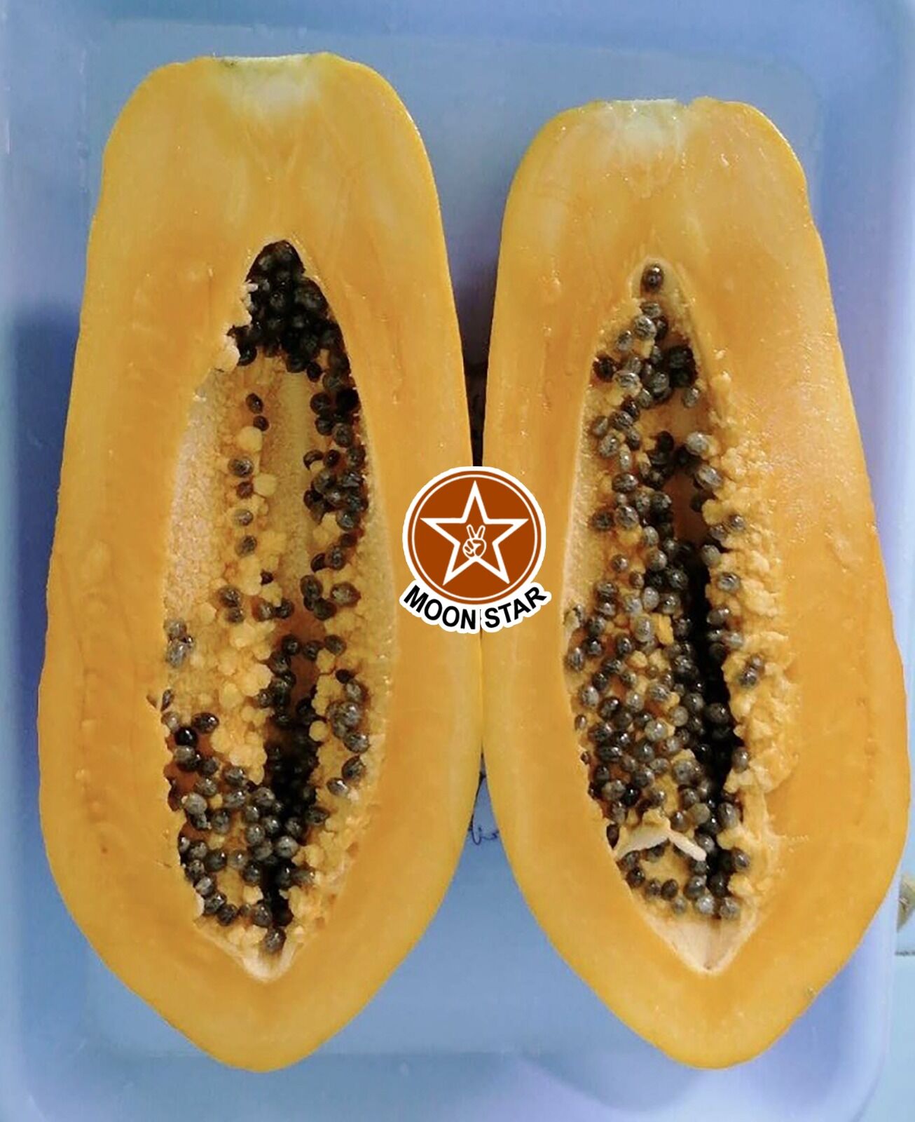 Papaya Lantus F1 Hybrid Seeds - Pakistan Wholesale Papaya Seeds $2800 ...