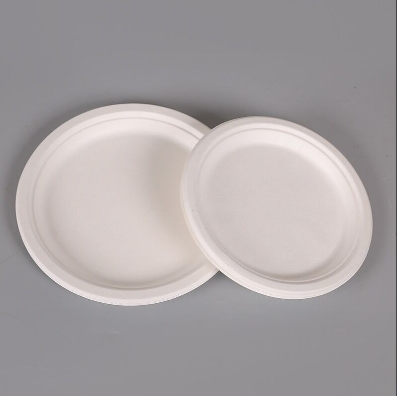 100% Biodegradable Sustainable Round Sugarcane Bagasse Plates In ...