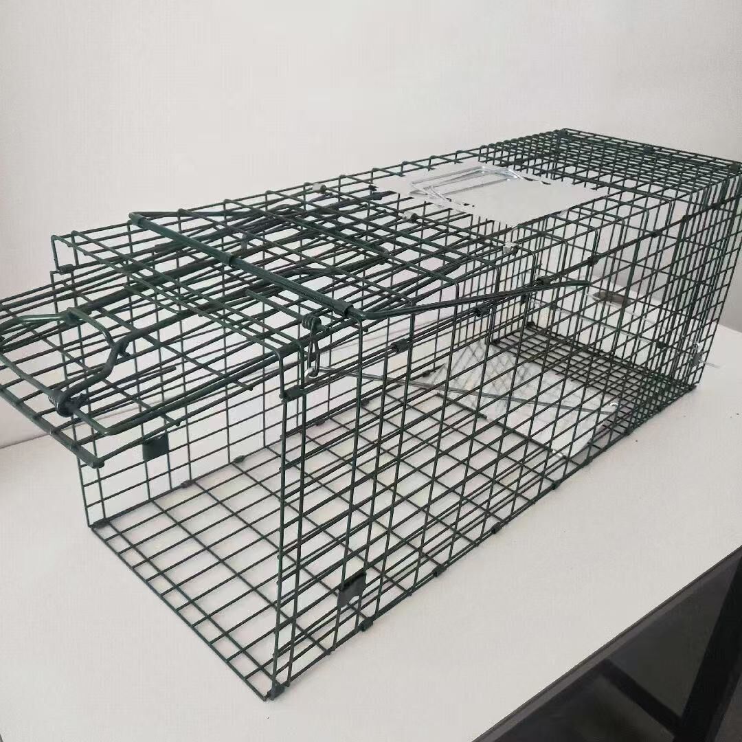 Catch Wild Animal Cage Traps Cat Trap Cage Animal Trap Cage, Stainless ...