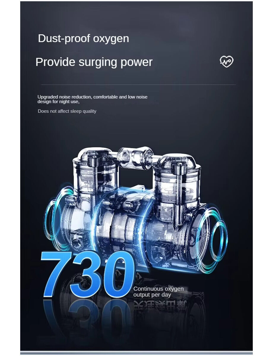 Ps6leasy - Access Portable Oxygen Machine: Stable, Efficient, And User ...