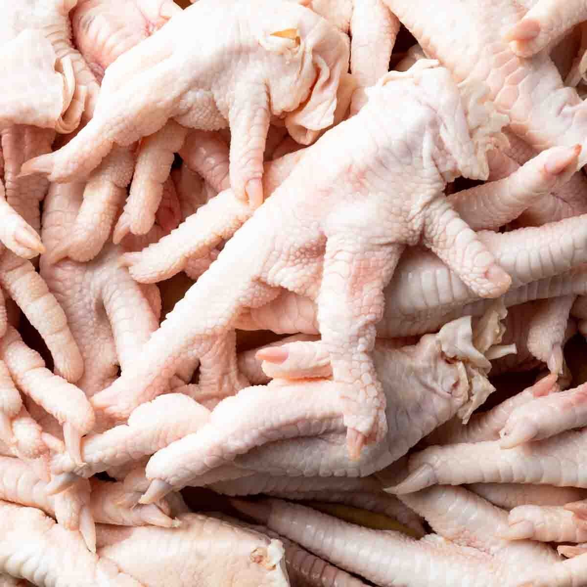 High Quality Organic Frozen Chicken Paws Whole Body Part Including Fat ...
