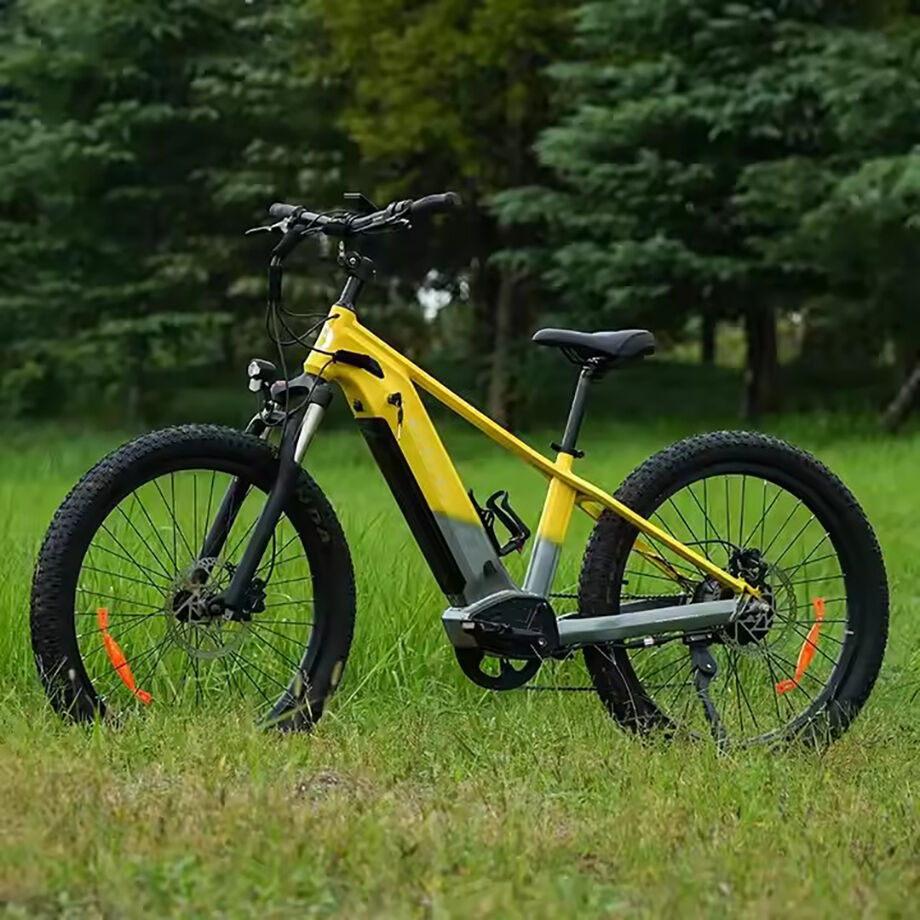 Bulk Buy China Wholesale Full Suspension E Mtb 750w Bicycle Electric ...