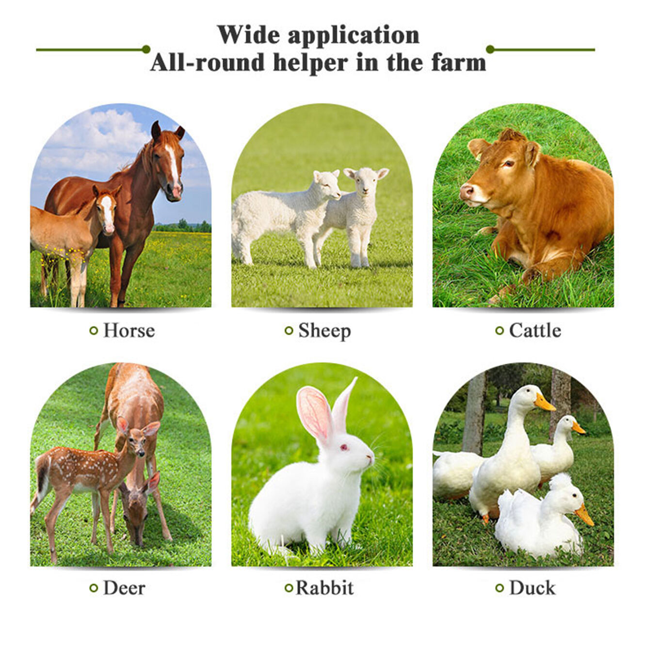 Bulk Buy China Wholesale Multifunctional Agriculture Green Farm Use ...