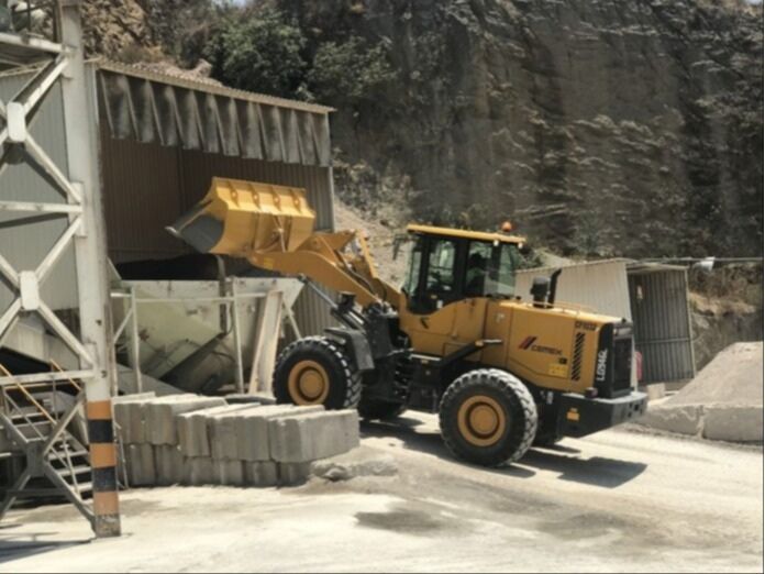 Versatile Lg946 Wheel Loader With Grass Fork Attachment For Landscaping ...