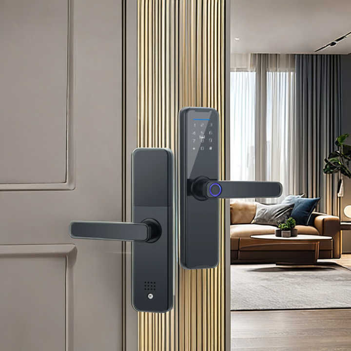Password Smart Door Lock Electronic Smart Fingerprint Lock, Fingerprint ...