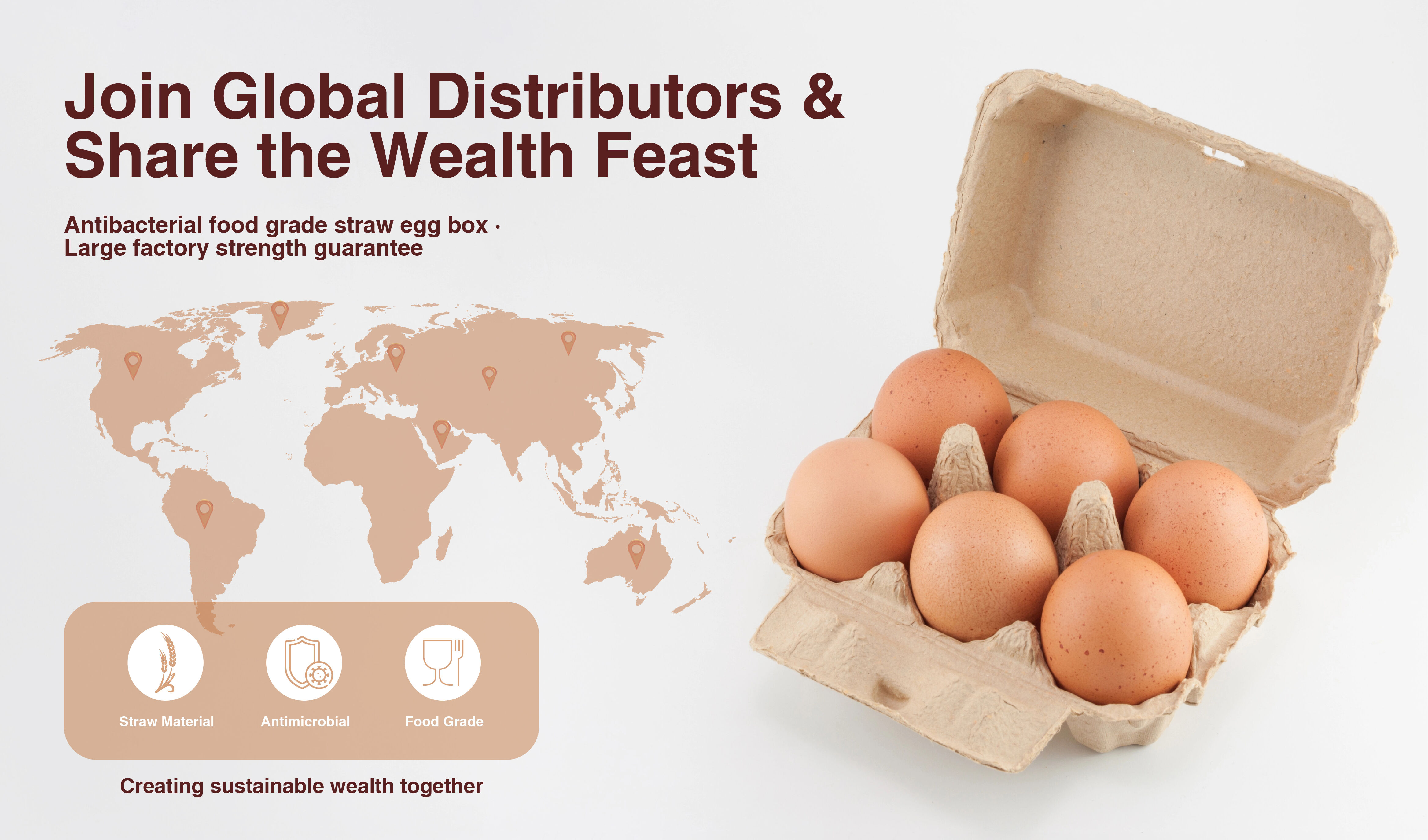 Egg Tray Straw Egg Tray Environmentally Friendly Egg Box Biodegradable ...