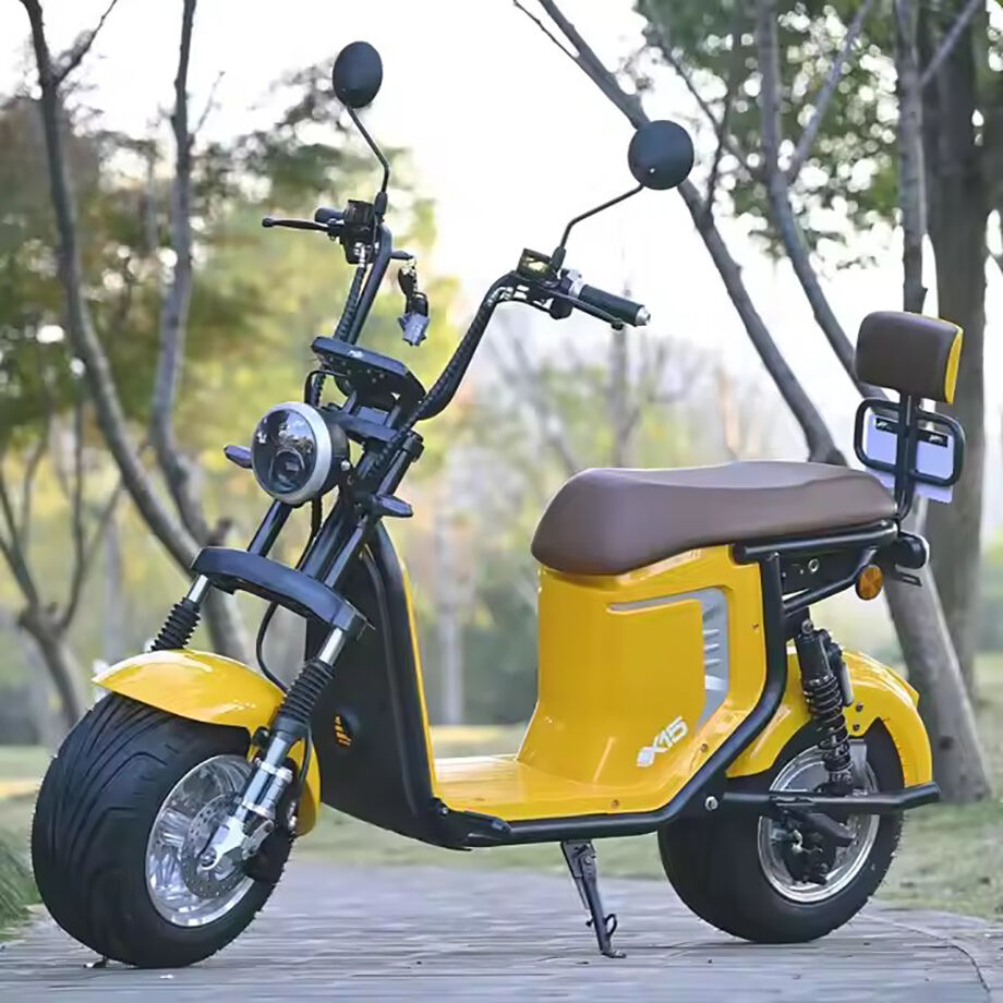 Citycoco 2000w 2 Wheel Electric Scooter Adult Brazil Market For Sale ...