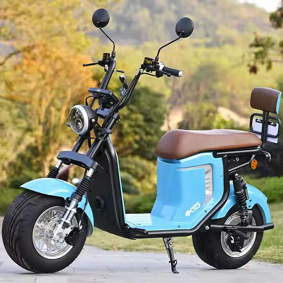 Citycoco 2000w 2 Wheel Electric Scooter Adult Brazil Market For Sale ...